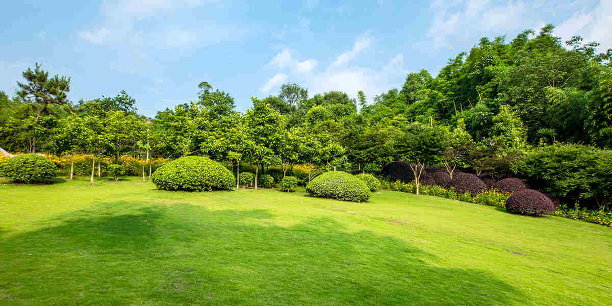 Understanding Landscaping Texture: A Homeowner’s Guide - Santa Rita ...